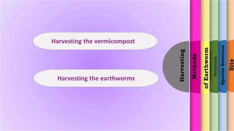 Methods Of Vermicomposting Pptx Methods Of Vermicomposting Pptx