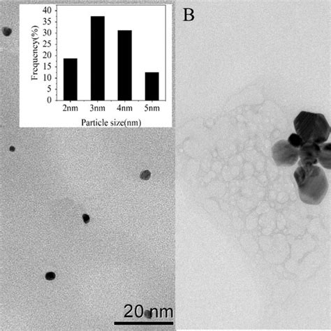 A Secondary Structure Of Apt76 B Chemical Structure Of Tet C The Download Scientific Diagram