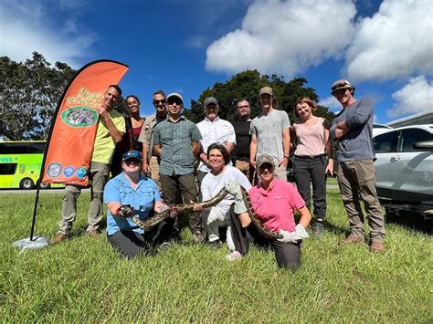 What Is The Florida Python Challenge What Is The Florida Python Challenge