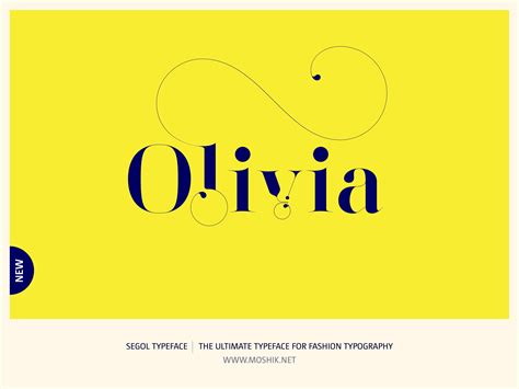 How Sexy Fonts Can Elevate Your Fashion Brand