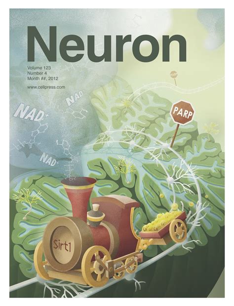 Neuron Cover Design Dc