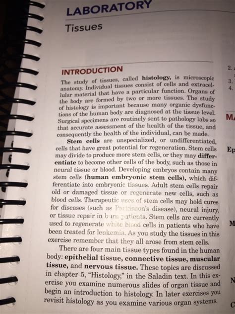 Solved Write A New Introduction For A Lab Report In Your Own Chegg Com