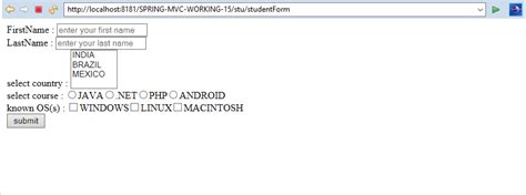 Not Able To See Spring Mvc Validation Error Messages Stack Overflow
