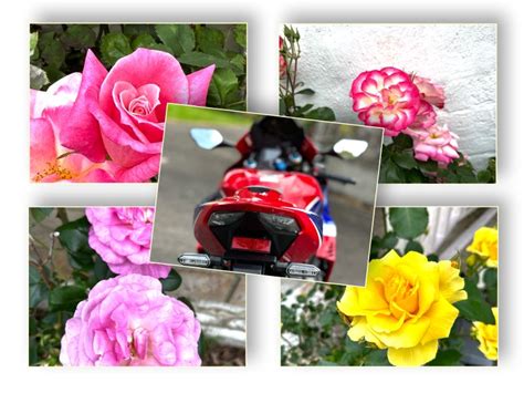 Dr Suraj Pandey 🚀 On Linkedin Dynatrace