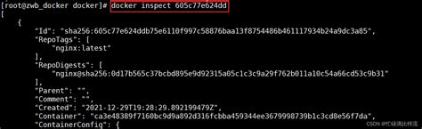 Docker镜像及容器基本操作命令docker启动镜像容器命令 Csdn博客