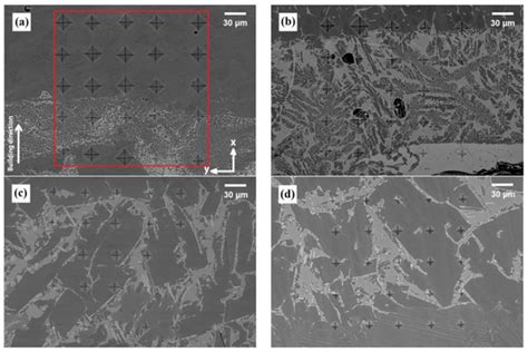 Iron Diffusion In Electron Beam Melt Ebm γ Tial Based Alloy From The Building Platform