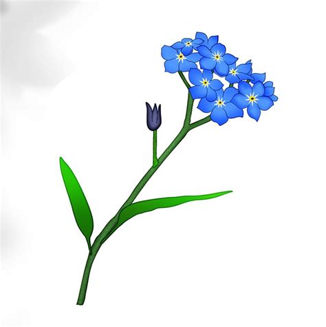 优雅手绘花卉素材 优雅手绘花卉模板 优雅手绘花卉图片免费下载 设图网