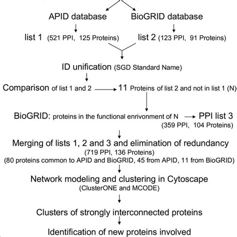 computational workflow an overview of the network modelling and