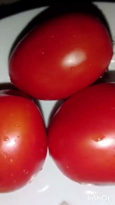 Day 2 Crushing The Code 100daysofcode Codingjourney Techtuesday Youtube