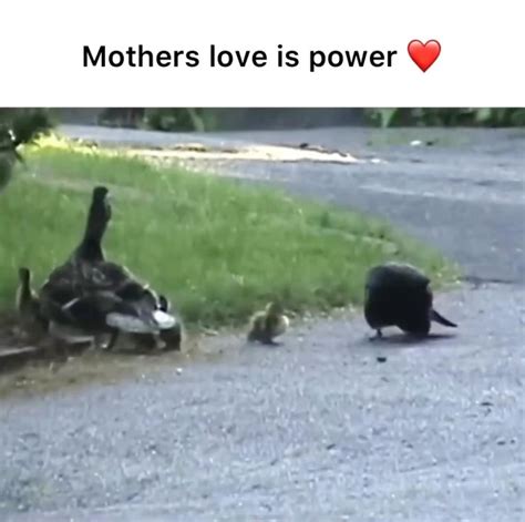 Video Lenka Love On Linkedin Lenkalove 21 Comments