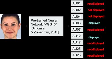 Our Training Pipeline Where We Adapt The Pre Trained Neural Network To
