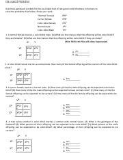 SexLinkedTraits Filled Pdf SEX LINKAGE PROBLEMS Use These Genotypic Symbols For The Sex