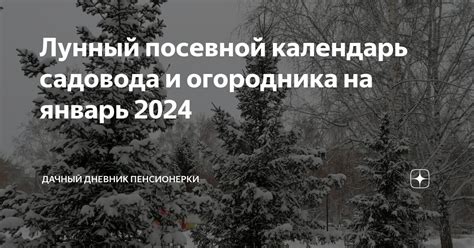 Лунный посевной календарь садовода и огородника на январь 2024 Дачный дневник пенсионерки Дзен