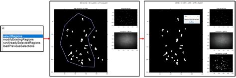 Github Bingcao2calciumimaginganalysis Calciumimaginganalysis A