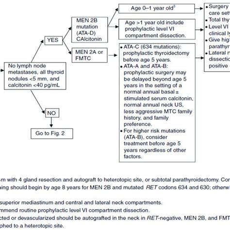 Pdf Ret Proto Oncogene Mutation Detection And Medullary Thyroid Carcinoma Prevention