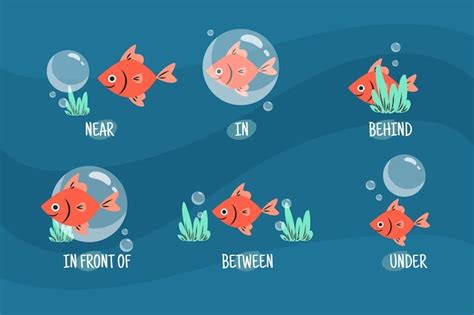 Prepositional Phrase And Prepositions 6th Grade Quiz Wayground Formerly Quizizz