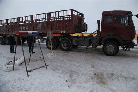 Бог малын халдварт цэцэг өвчинтэй холбогдуулан Олон улсын шинжтэй зам дагуу халдваргүйжилтийг