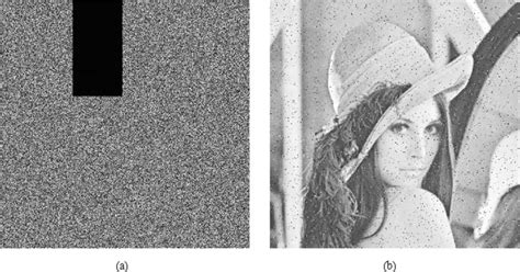 a encrypted image is cropped 1 200 150 250 0 b decrypted image