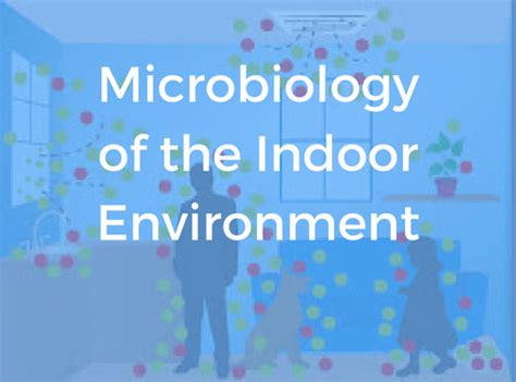 Sources Of Airborne Microorganisms In The Built Environment Microbiome