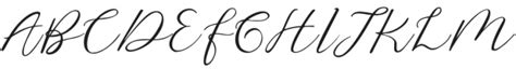 Brohillo Script Regular Otf 400 Font Script Elegant What Font Is