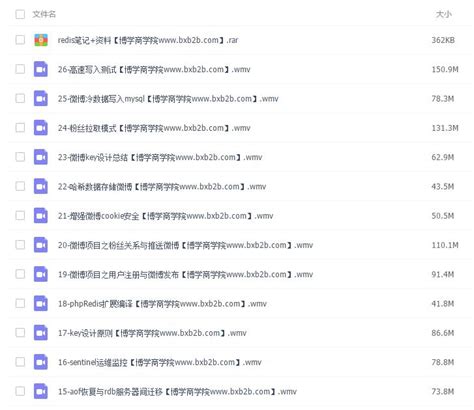 燕十八老师redis数据库从入门到精通视频教程 redis培训视频 带全套资料 小蚂蚁资源网