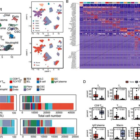 cellular landscape of crc in the smc cohort a umap plot of 57 557