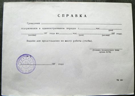 Справка Из Школы С Фотографией И Печатью —