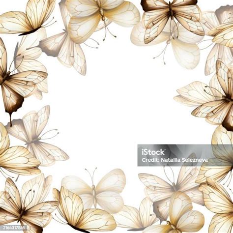 프레임 Boho 나비와 템플릿 수채화 손 그려진 베이지색 곤충 클립 아트 절연 통하고 있는 배경 식물 및 결혼식 그림 디자이너 초대장 장식 엽서 포장지 스크랩북 커버