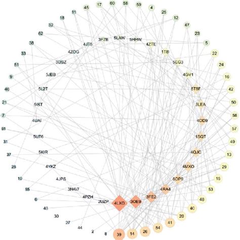 c t p network circular nodes represent the compounds that have effects