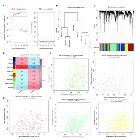 Identification Of Key Genes Via The Weighted Correlation Network Download Scientific Diagram