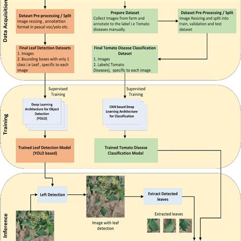Sample Tomato Disease Detection In The Real World Or Natural