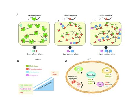 Compositional Control Model For Posttranslational Modification PTMs