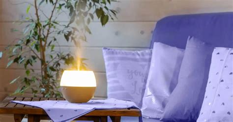 7 Best Smart Essential Oil Diffusers For Your Home In 2025 Best Home 7 Best Smart Essential Oil Diffusers For Your Home In 2025 Best Home
