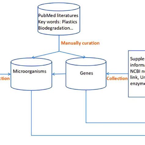 Data Collection Flow Chart Download Scientific Diagram