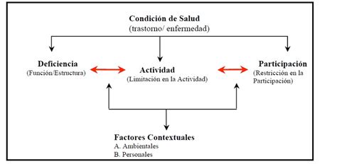 Clasificación Internacional Del Funcionamiento De La Discapacidad Y De