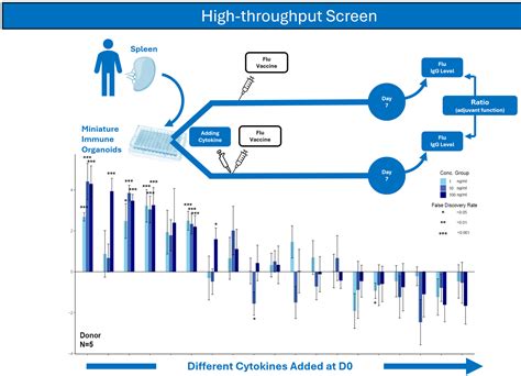 Chen Lab Medical College Of Wisconsin Department Of Obstetrics And Gynecology