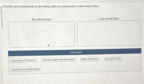Solved ¿0 ﻿classify Each Characteristic As Describing Either