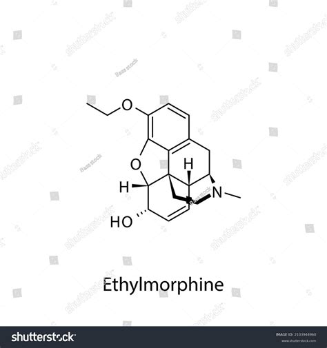 Ethylmorphine Molecular Structure Flat Skeletal Chemical Stock Vector Royalty Free 2103944960
