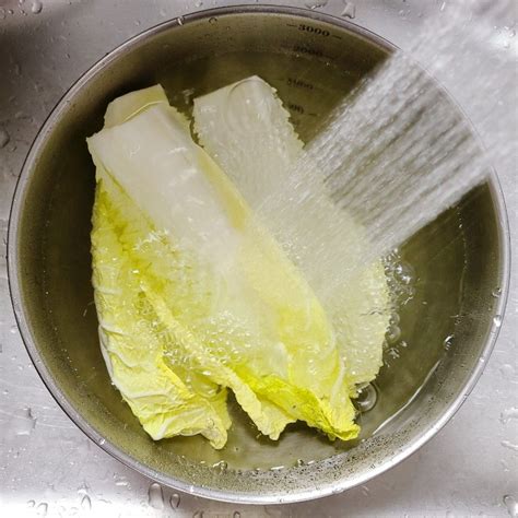 배추전 만들기 알배추요리 전종류