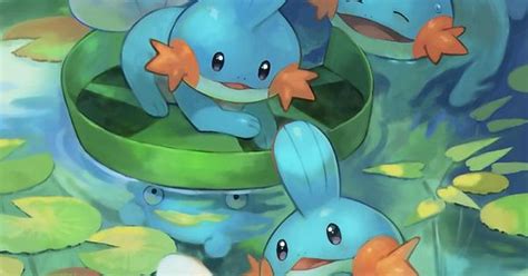 Mudkip Album On Imgur