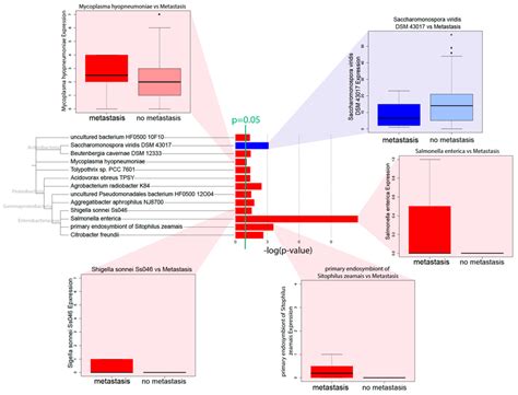 Pathology And Survival Associated Microbes Microbial Abundance Was