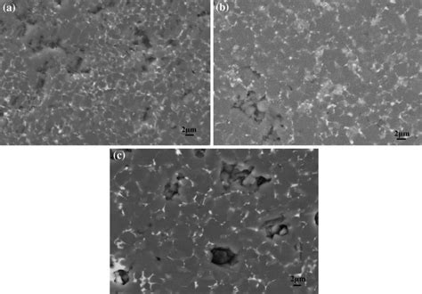 Scanning Electron Micrographs Of Aln Sic Samples For Sic Grain Size Download Scientific Diagram
