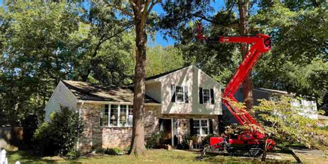 Tree Blocking Driveway Heres What To Do In Fredericksburg