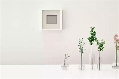 国产硅藻泥与进口货的较量，到底哪家强？