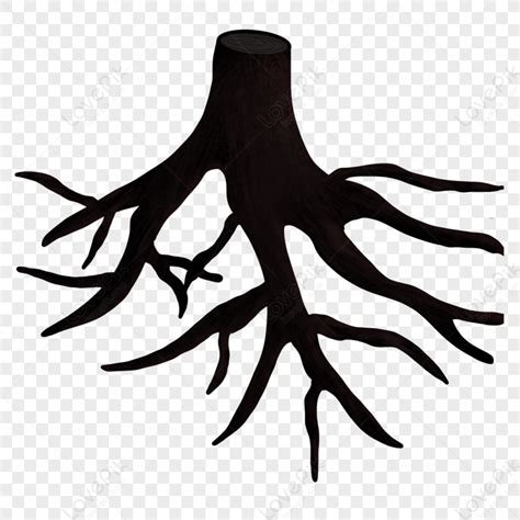 어두운 곡선 된 복잡 한 나무 일러스트 뿌리 클립 아트자연줄기와 잎 Png 일러스트 무료 다운로드 Lovepik