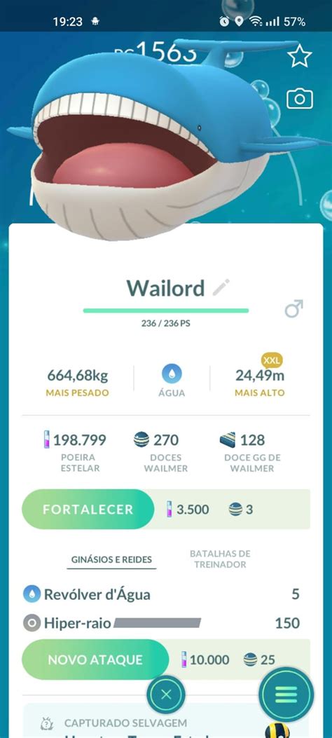 Wailord Pokemon