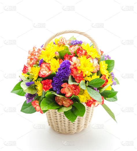 鲜花篮
