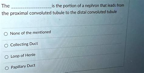 The Is The Portion Of A Nephron That Leads From The Proximal Convoluted Tubule To The Distal