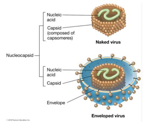 Mmg 301 Module 3 9 Flashcards Quizlet