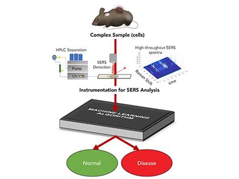 Rise Of The Machines Sers Instrumentation And Machine Learning Enabling Complex Bioanalysis
